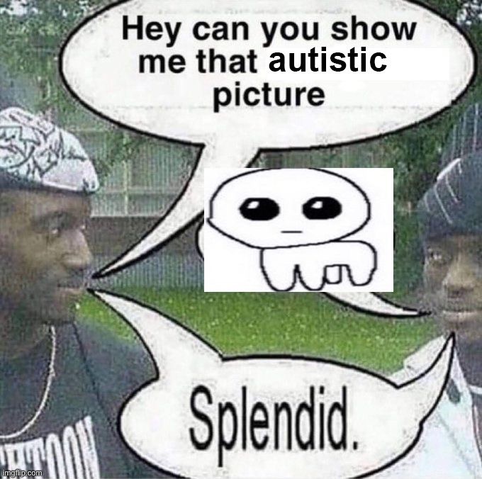 Splendid - Imgflip