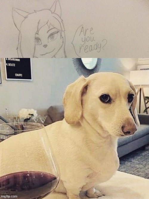 awh what a cute dog. - Imgflip