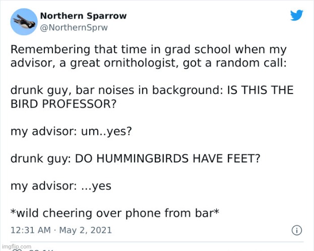 I love birdwatching so this is absolutely hilarious to me :sob: - Imgflip