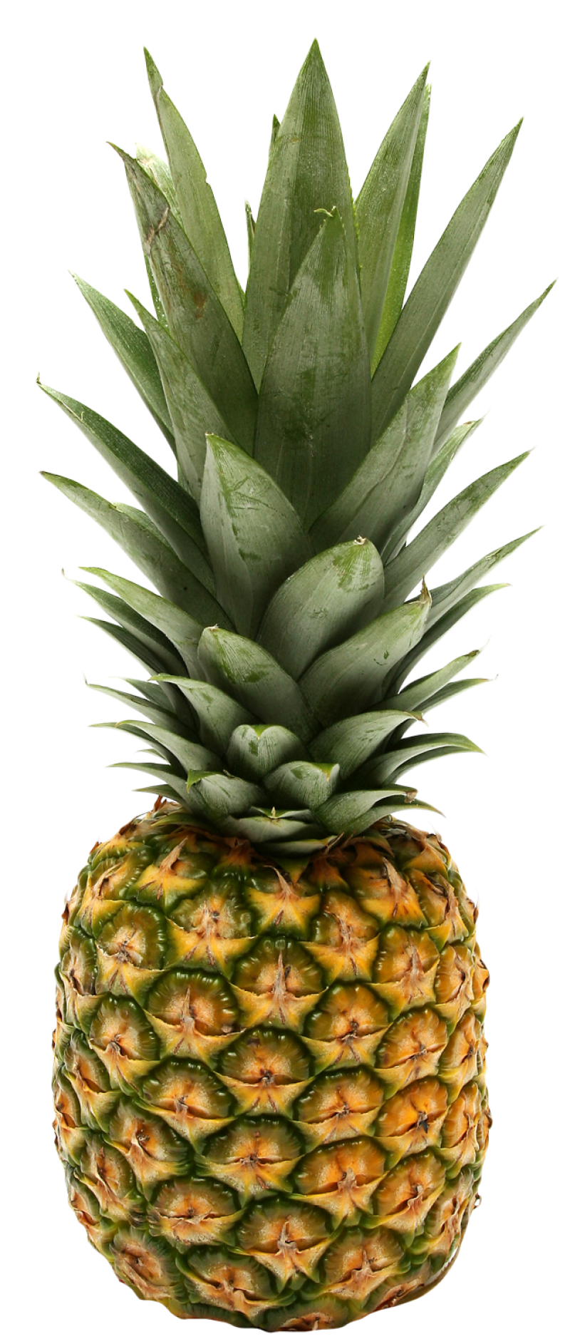 pineapple Blank Template - Imgflip