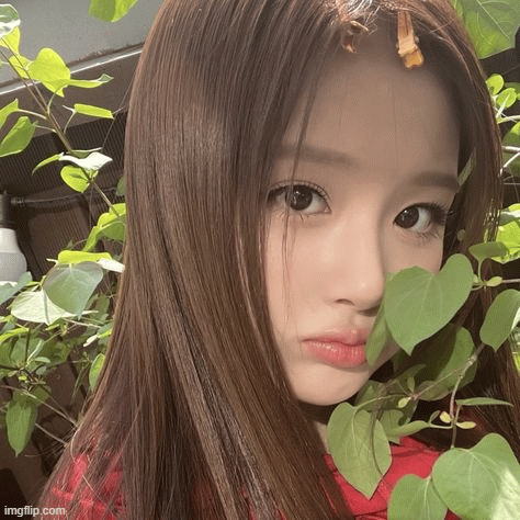 Strawberry Sullyoon Aesthetic - Imgflip