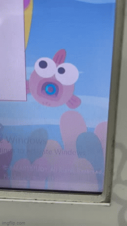 Confused baby shark fish - Imgflip