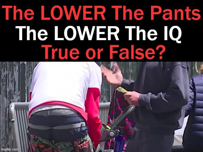 Question of the Day - Imgflip