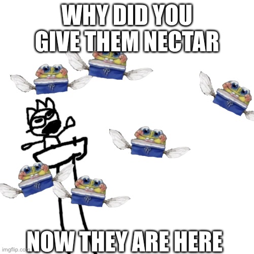 Blank Transparent Square Meme - Imgflip