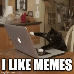 i like memes - Imgflip