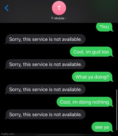 Just Me Chatting with the T-Mobile Bot - Imgflip