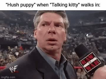 Hush puppies - Imgflip