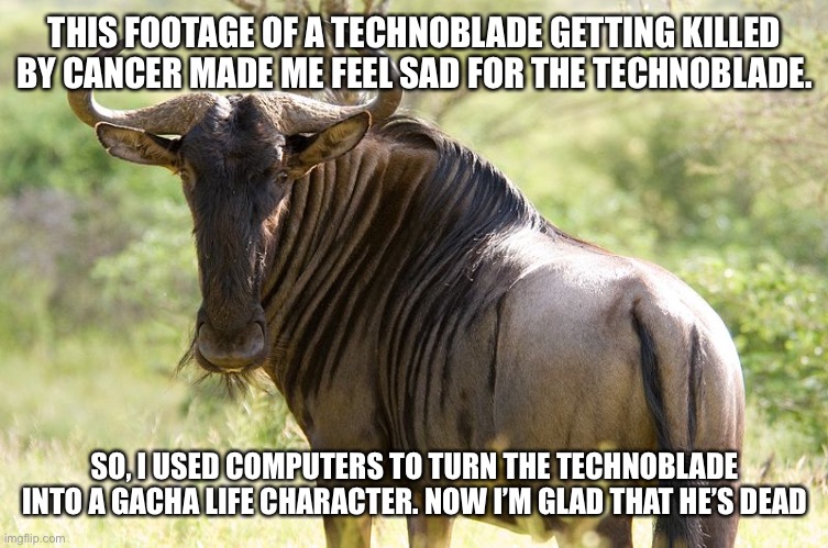 Wildebeest Memes 💎 Blue Wildebeest : R/theHunter