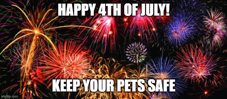 Colorful Fireworks - Imgflip