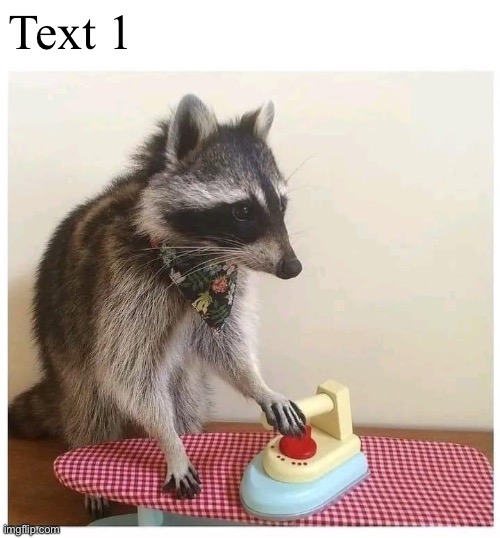 Raccoon ironing board - Imgflip