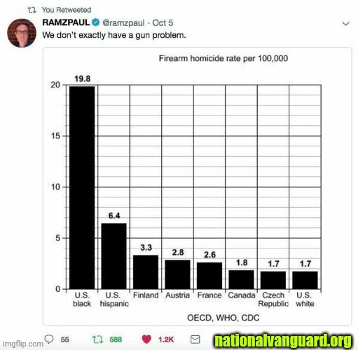 Image tagged in the problem with guns the owners - Imgflip