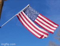 America- Divided we fall down - Imgflip