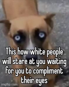 “omg i love ur baby blue orbs” - Imgflip