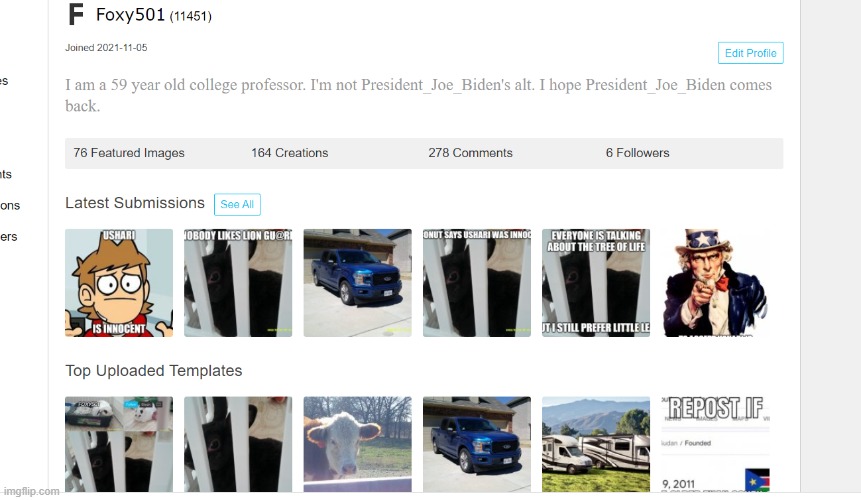 My profile. This image is also the first (1st) one in this stream ...