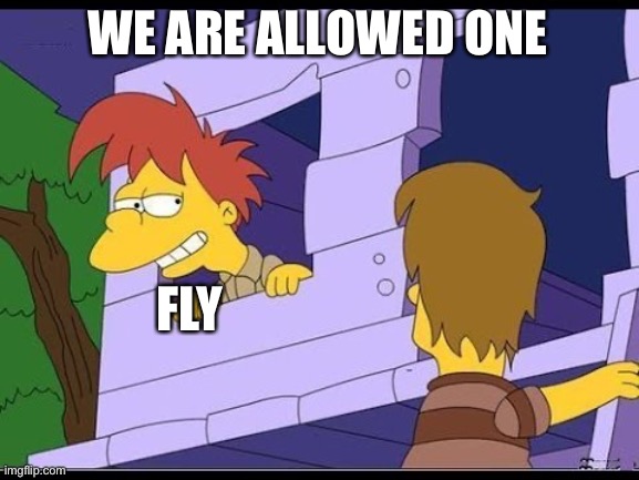 NO HOMERS - Imgflip