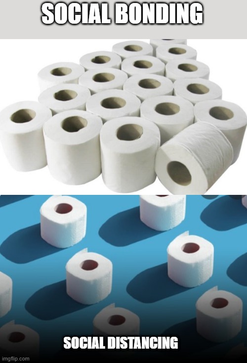 Social network - Imgflip