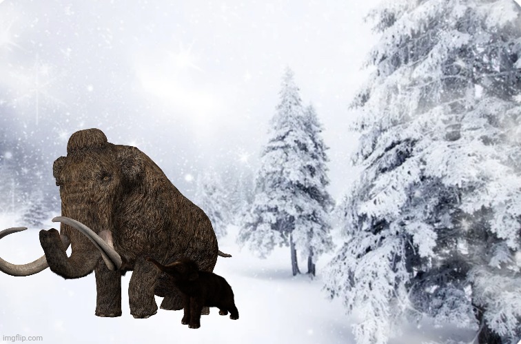 Snowy forest with Mammoths.mp3 - Imgflip