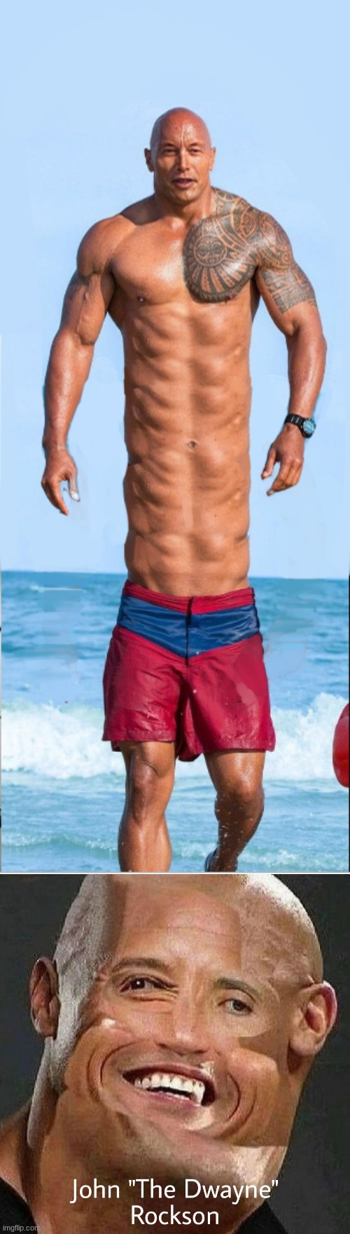 the elon musk face.... - Imgflip