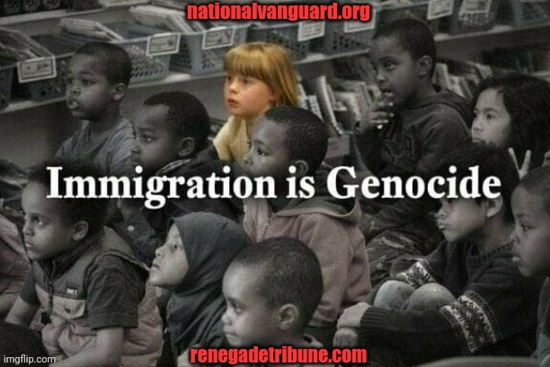 WHITE GENOCIDE THROUGH REPLACEMENT - Imgflip