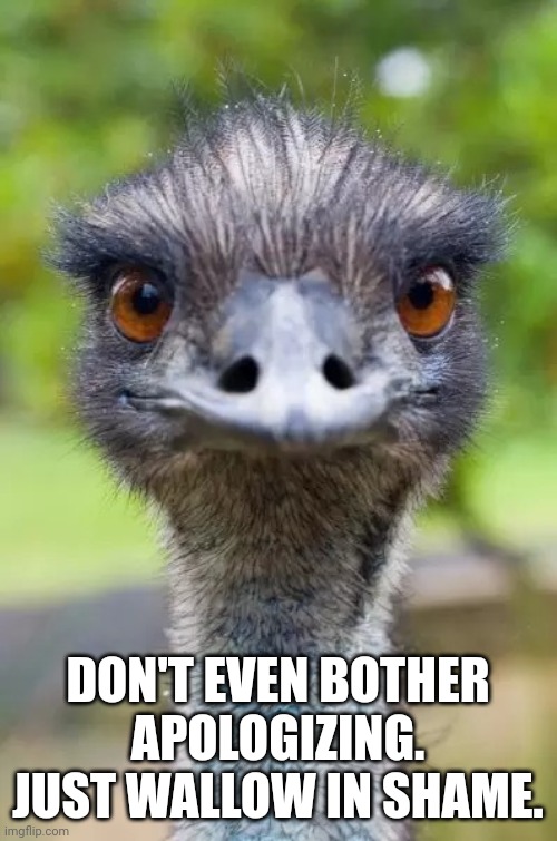Emu - Imgflip