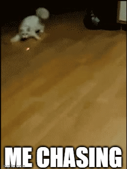 Me chasing dreams! - Imgflip