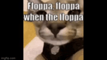 Animated GIF - Imgflip