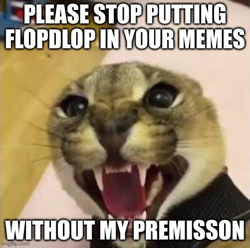 Please stop doing it without my premisson. I created FlopDlop, it's ...