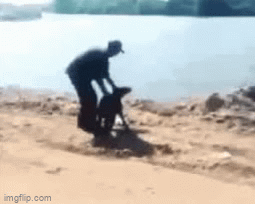 Spinning the dog fail - Imgflip