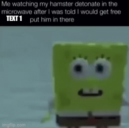 Exploding hamster - Imgflip