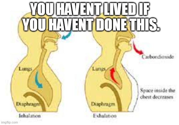 Bad Meme Imgflip