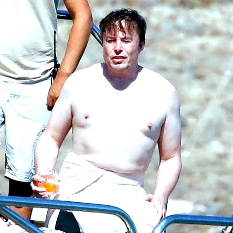 Shiny Elon Blank Template - Imgflip