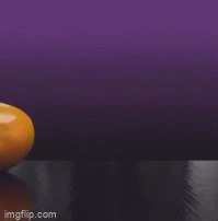 Slice after slice - Imgflip