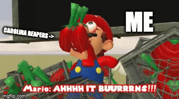 Me when eating Carolina Reaper peppers - Imgflip