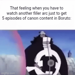 Look up how much % of Boruto is filler, and you'll understand - Imgflip