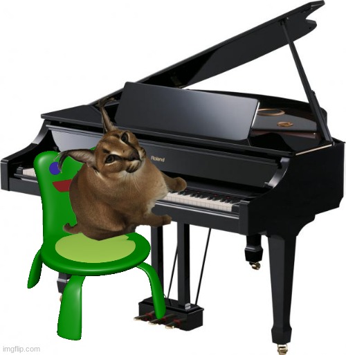 Caracal (Floppa) playing piano.mp3 - Imgflip