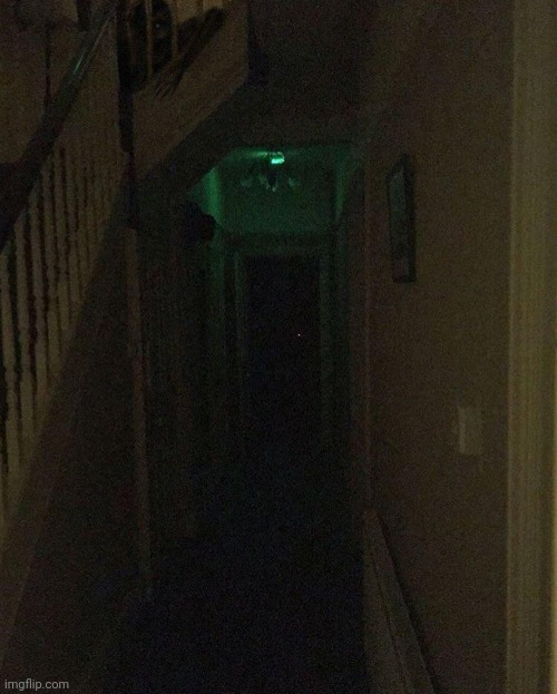 Oh hello! Welcome to my humble abode - Imgflip