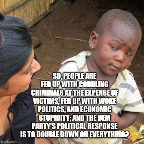 This really is the Dem Party's political response. Weird, isn't it ...