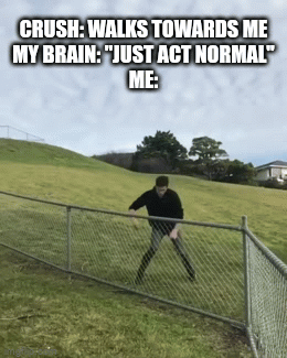 Perfectly normal - Imgflip