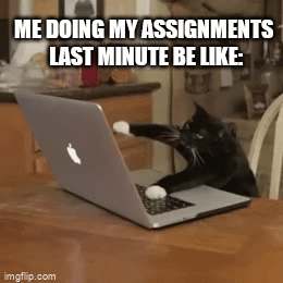 Last Minute Homework Memes