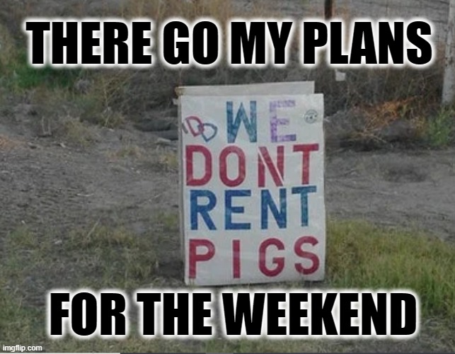 There go my plans for the weekend - Imgflip