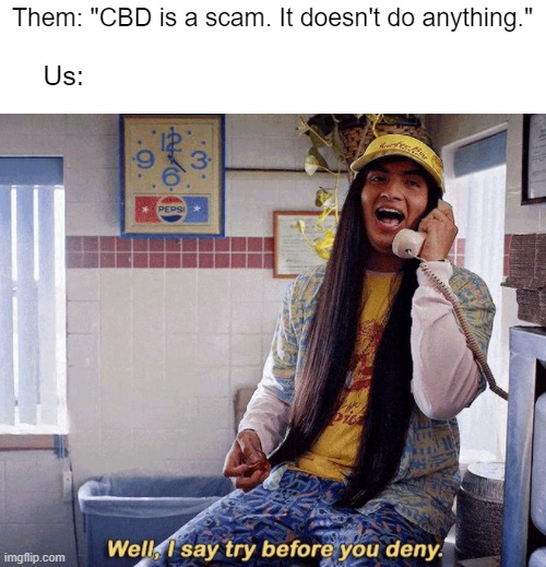 Try before you deny - Imgflip