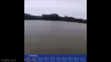 Flying fish - Imgflip
