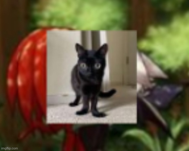 say hi to jinx - Imgflip