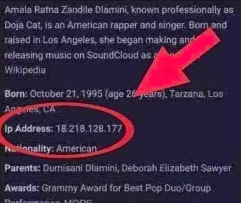 doja cat ip address?! Blank Template - Imgflip