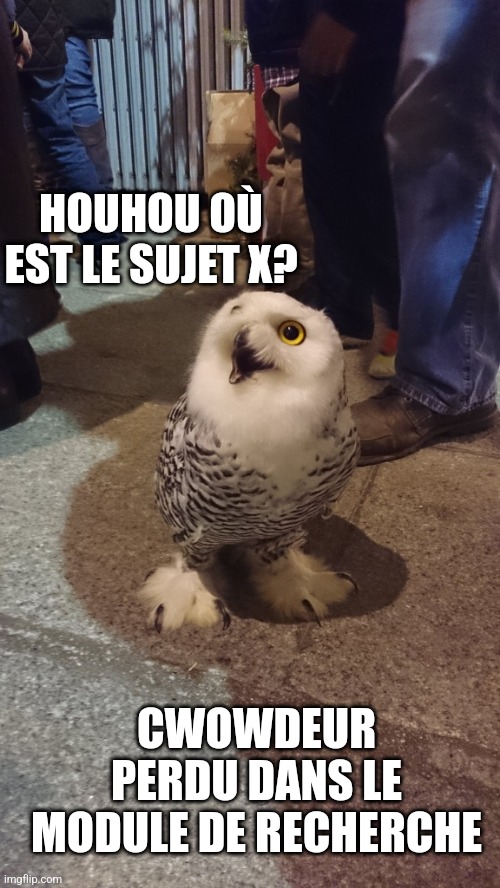 Image tagged in lost owl - Imgflip