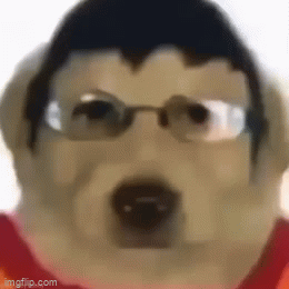 Nerd dog - Imgflip