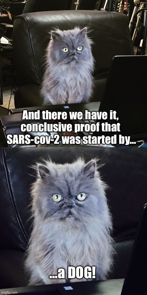 Image tagged in crystal1 - Imgflip