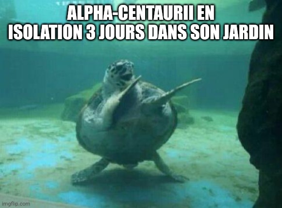 Happy turtle - Imgflip