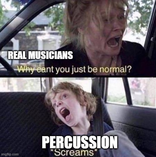 Why Can't You Just Be Normal - Imgflip