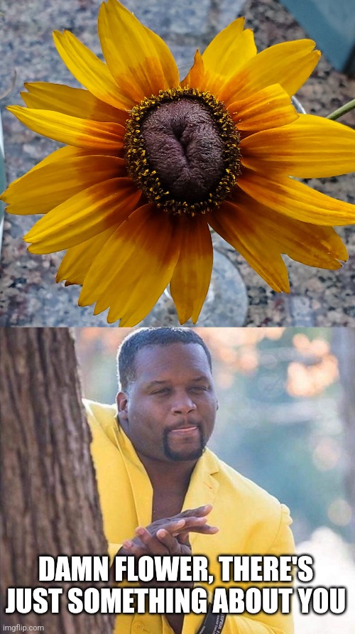 Mom cut one of her flower and brought it in the house - Imgflip